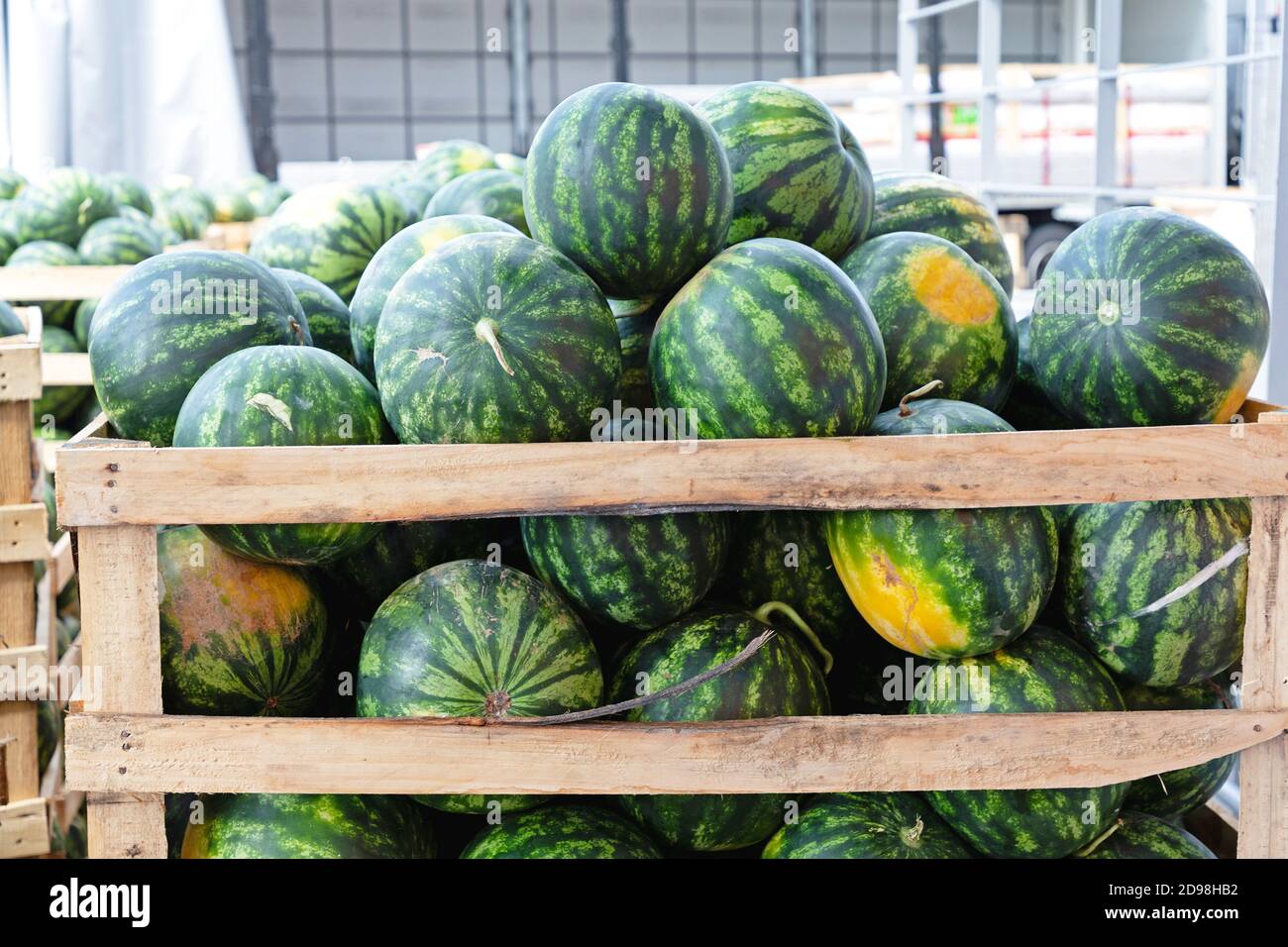 Watermelons watermelon crates crate hi-res stock photography and images ...