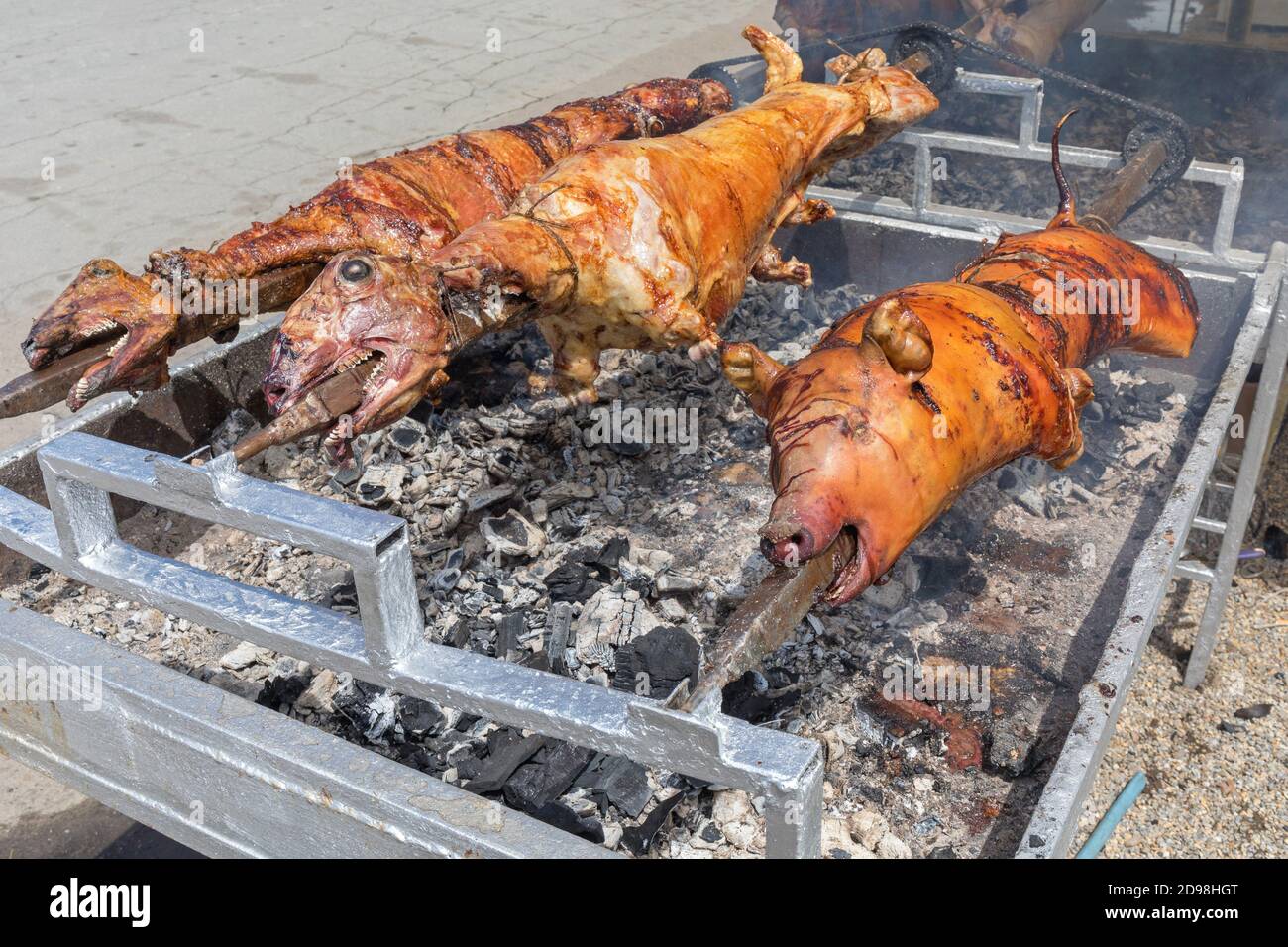 Roasting Pigs and Lambs Over Charcoal at Rotisserie Spit Stock Photo ...