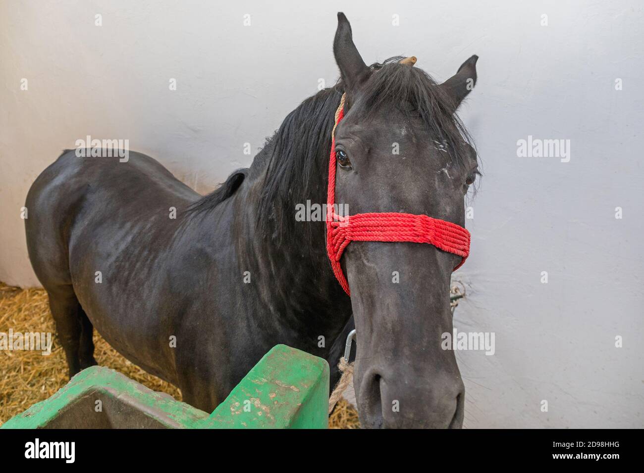 Big Stables High Resolution Stock Photography and Images - Alamy