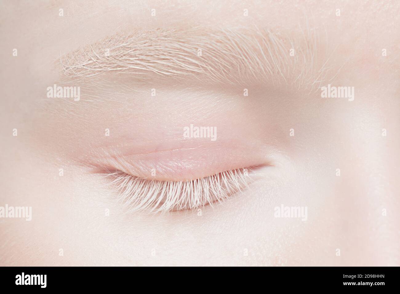 Brows and eyelid. Close up portrait of beautiful albino female model ...