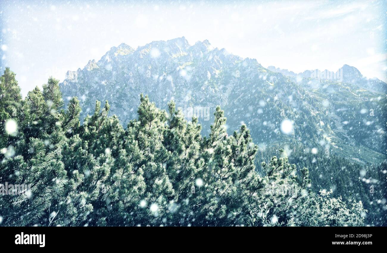 Winter landscape of High Tatra Mountains. Snowfall in Tatra mountains ...