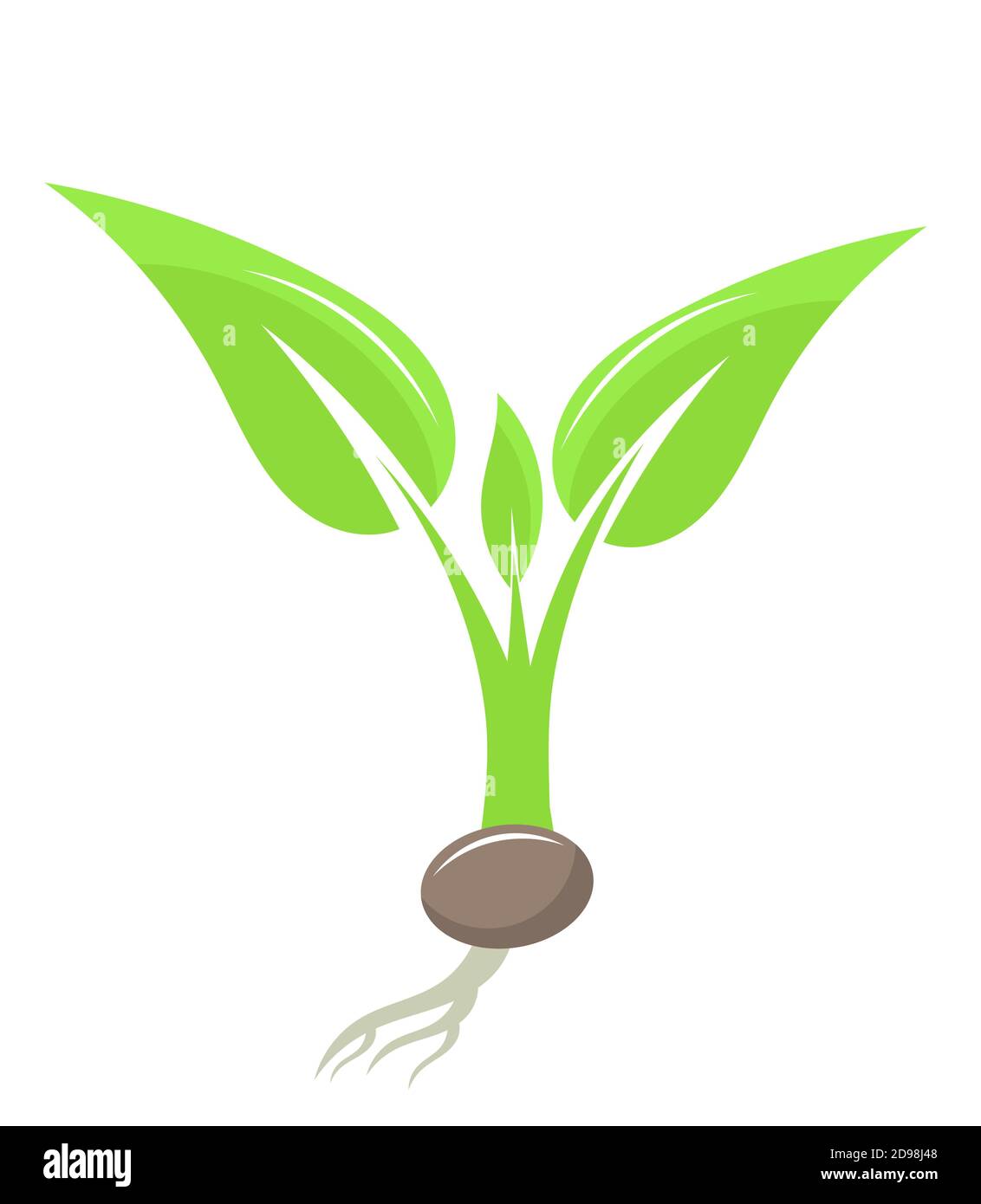 Plant seedling. Vector illustration Stock Vector Image & Art - Alamy