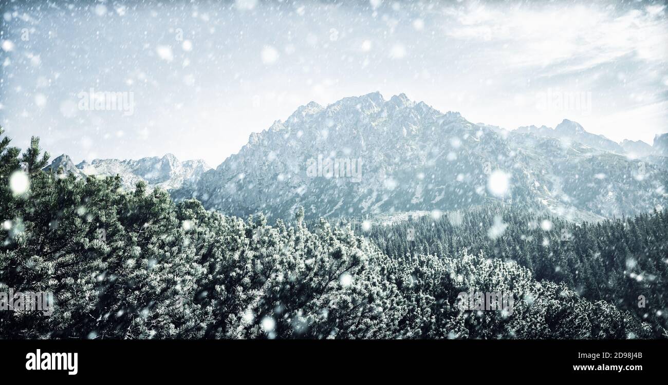 Winter landscape of High Tatra Mountains. Snowfall in Tatra mountains ...