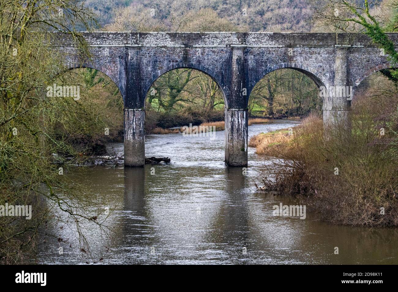River Torridge and Beam Bridge, View from the Tarka Trail Looking Up ...