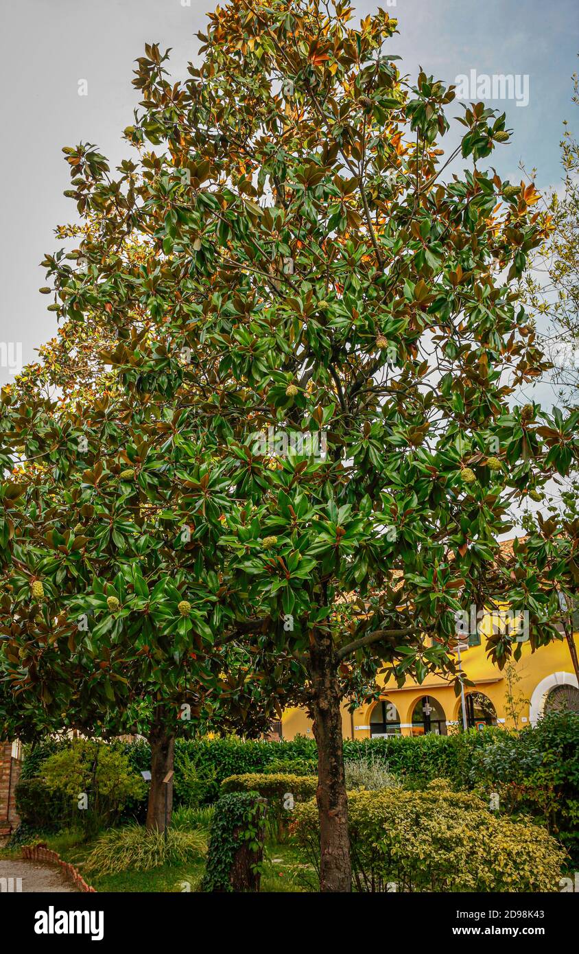 Italy Emilia Romagna San Mauro Pascoli - House of the italian poet ...