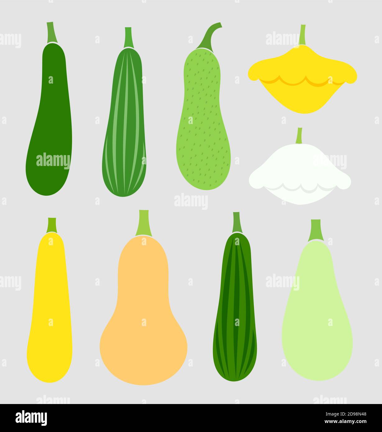 Summer squash vegetables collection. Vector illustration Stock Vector ...