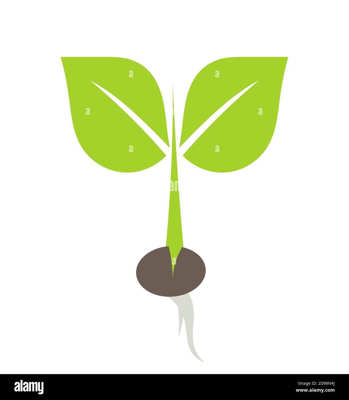 From seed to tree Stock Vector Images - Alamy