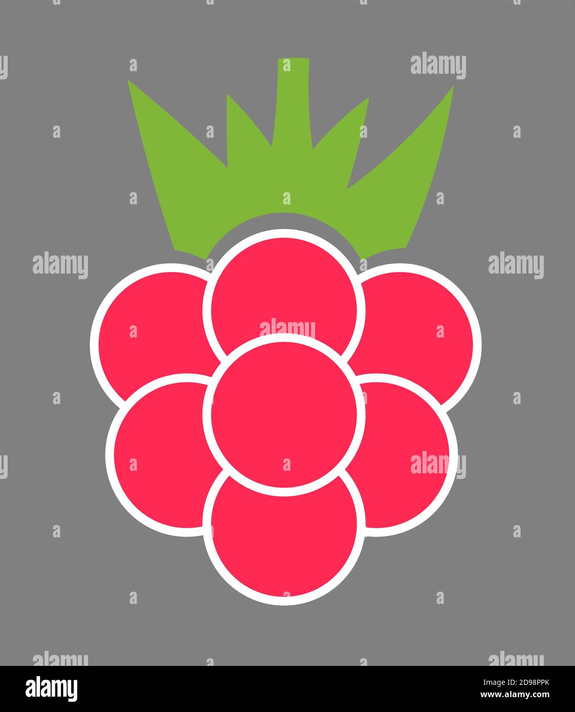 Raspberry fruit. Vector illustration Stock Vector Image & Art - Alamy