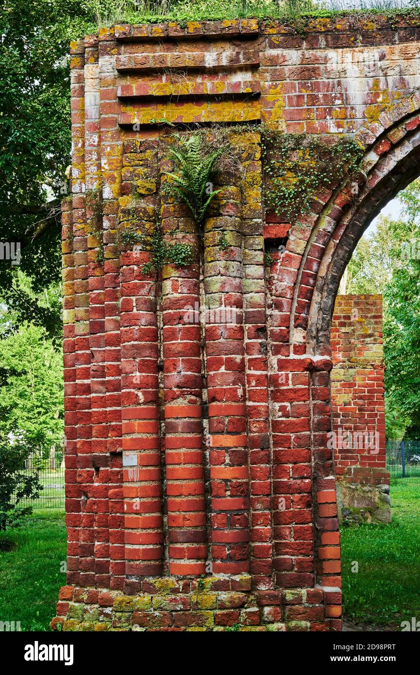 Medieval ruined monastery in a public park in Greifswald, Germany Stock ...