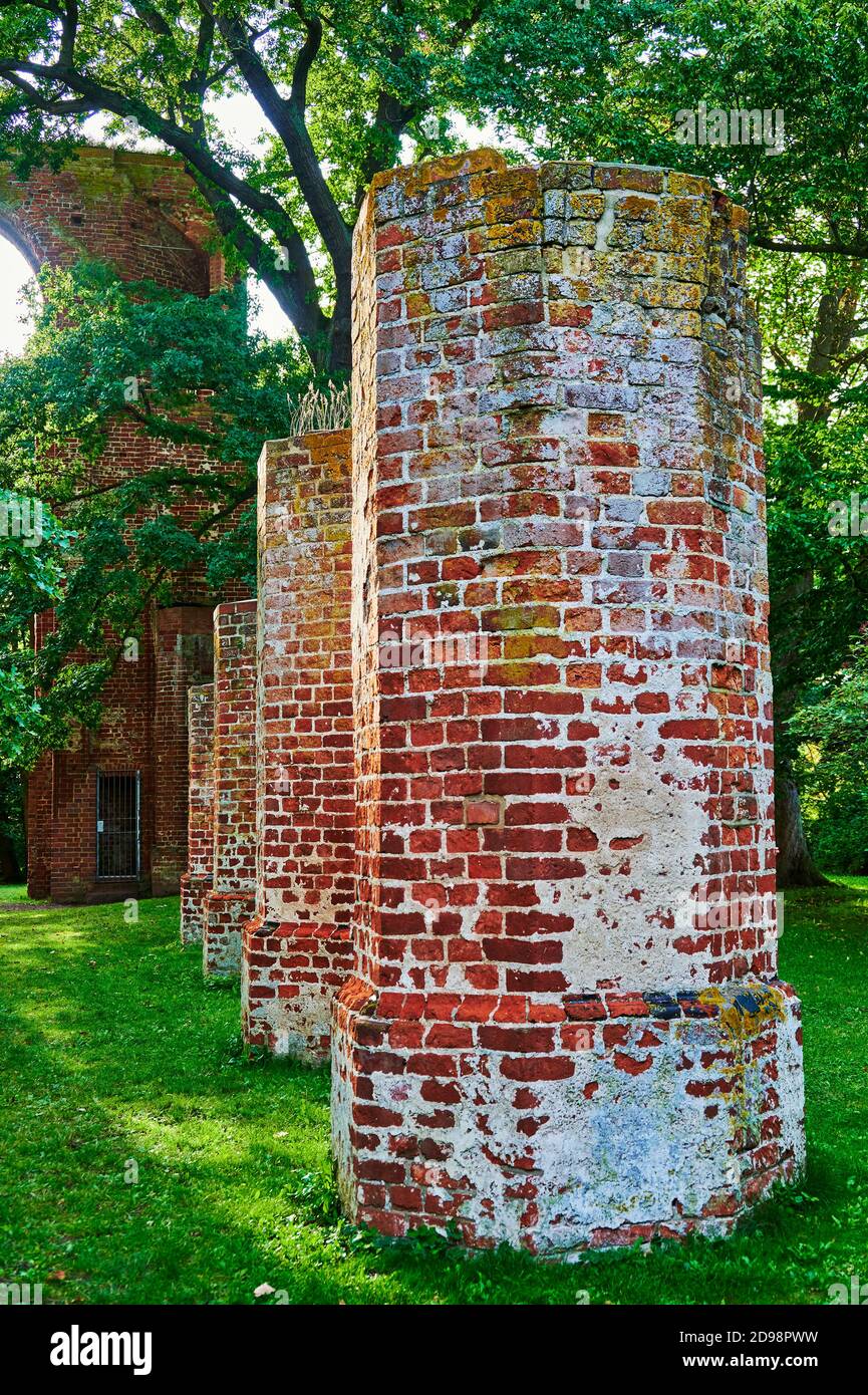 Medieval ruined monastery in a public park in Greifswald, Germany Stock ...