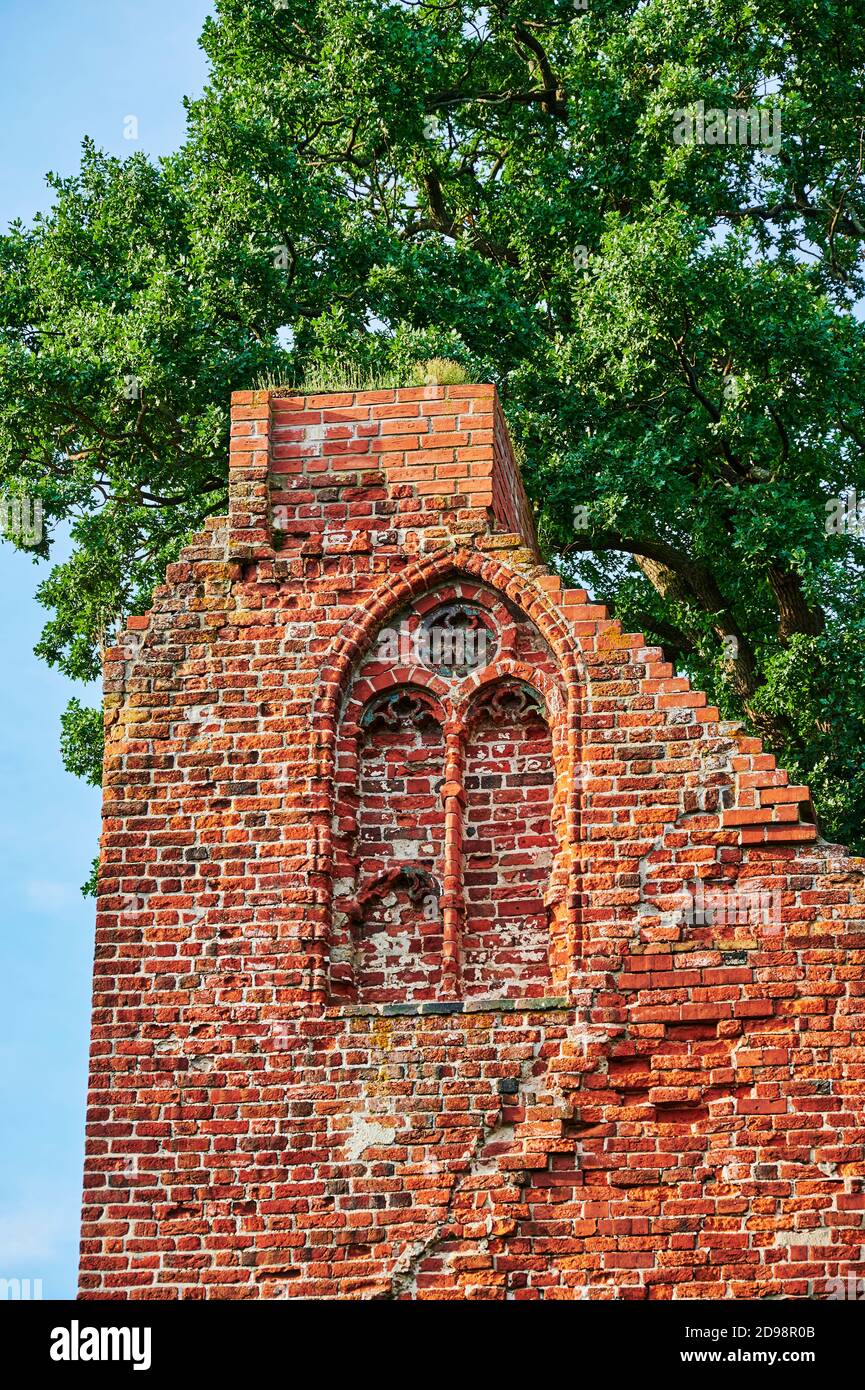 Medieval ruined monastery in a public park in Greifswald, Germany Stock ...