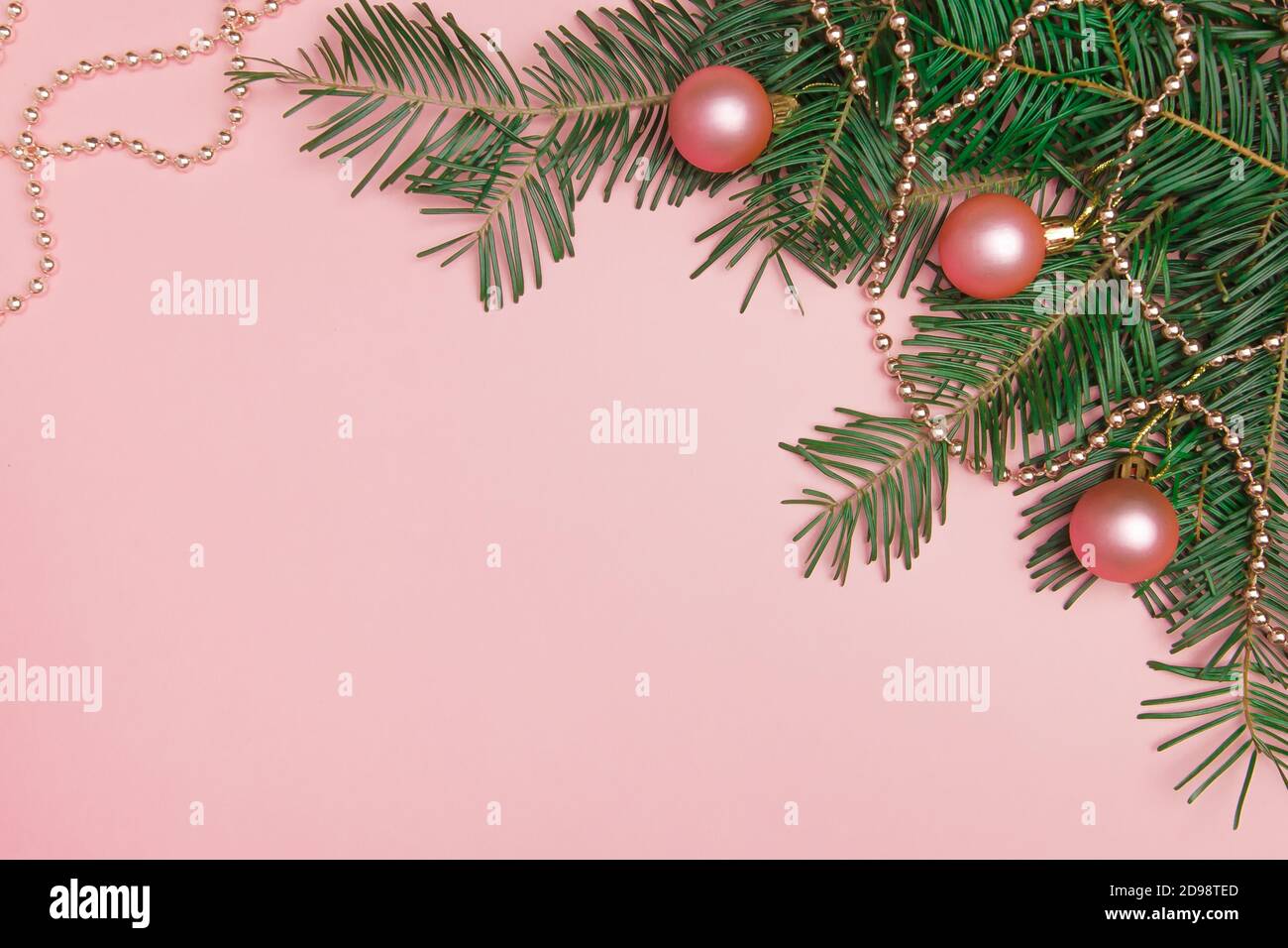 Christmas pink background with fir branch, pink balls and beads in the ...
