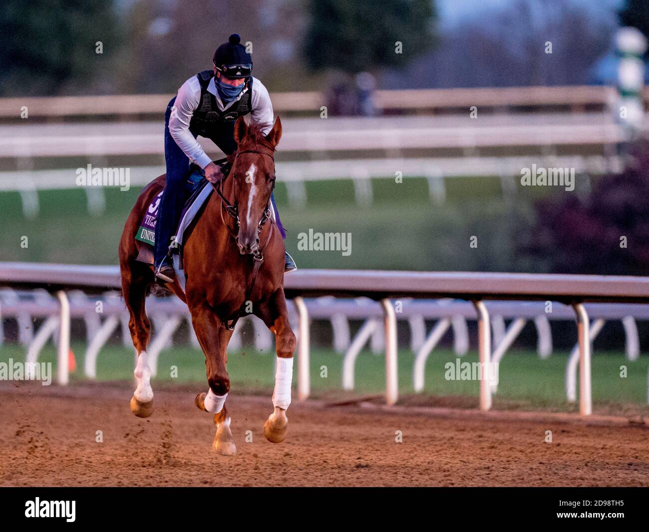 Lexington, KY, USA. 3rd Nov, 2020. November 3, 2020: United, trained by ...