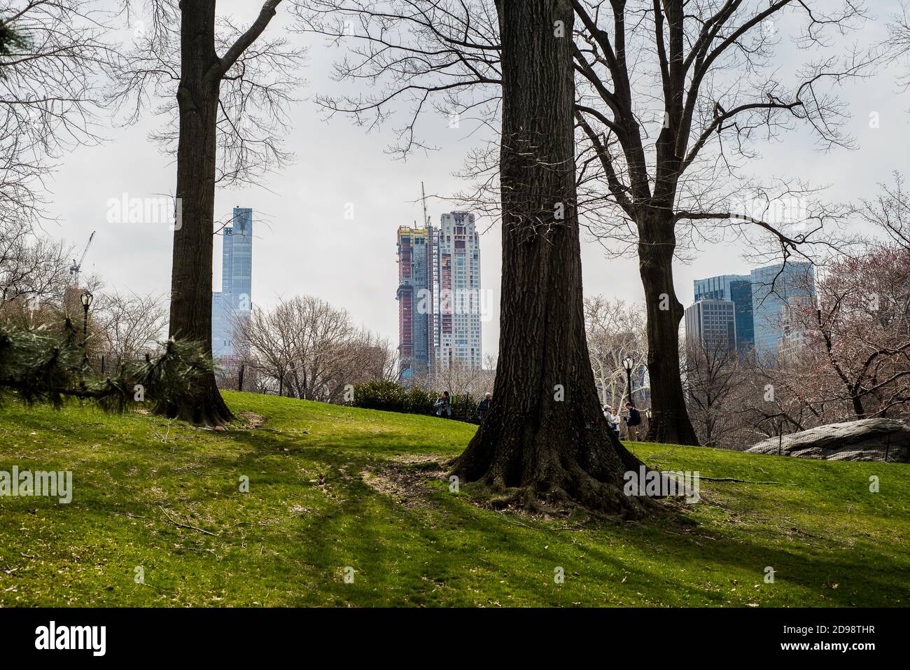 Trees against buildings Stock Photo - Alamy