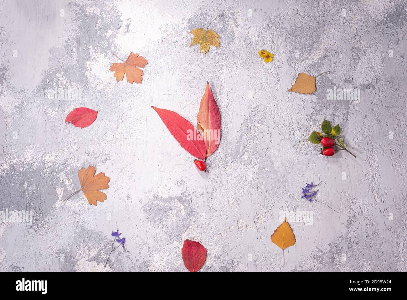 autumn hours, autumn time. Arrows and numbers lined with autumn leaves ...
