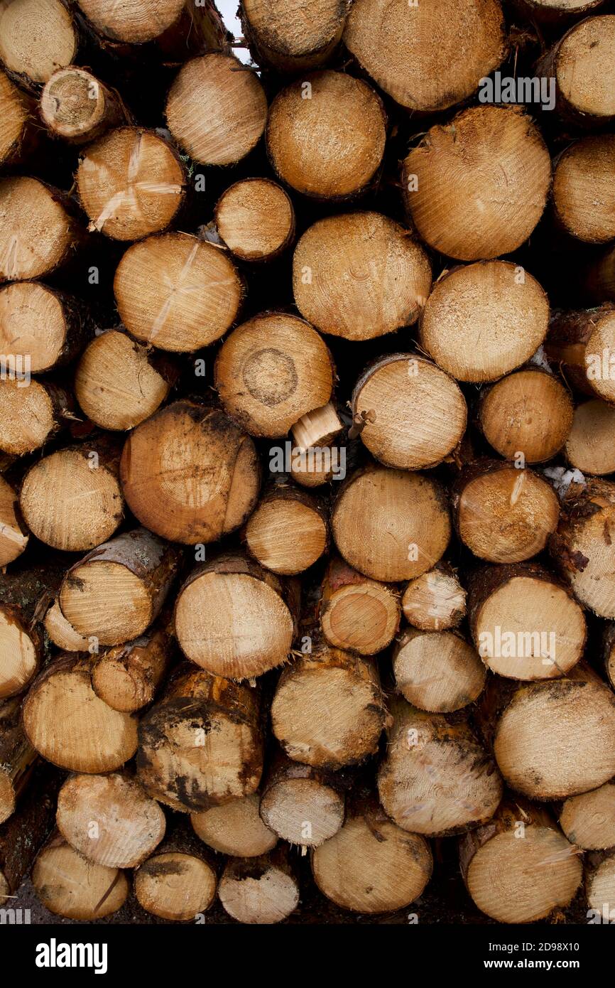 Some logs in Trentino, Italy Stock Photo - Alamy