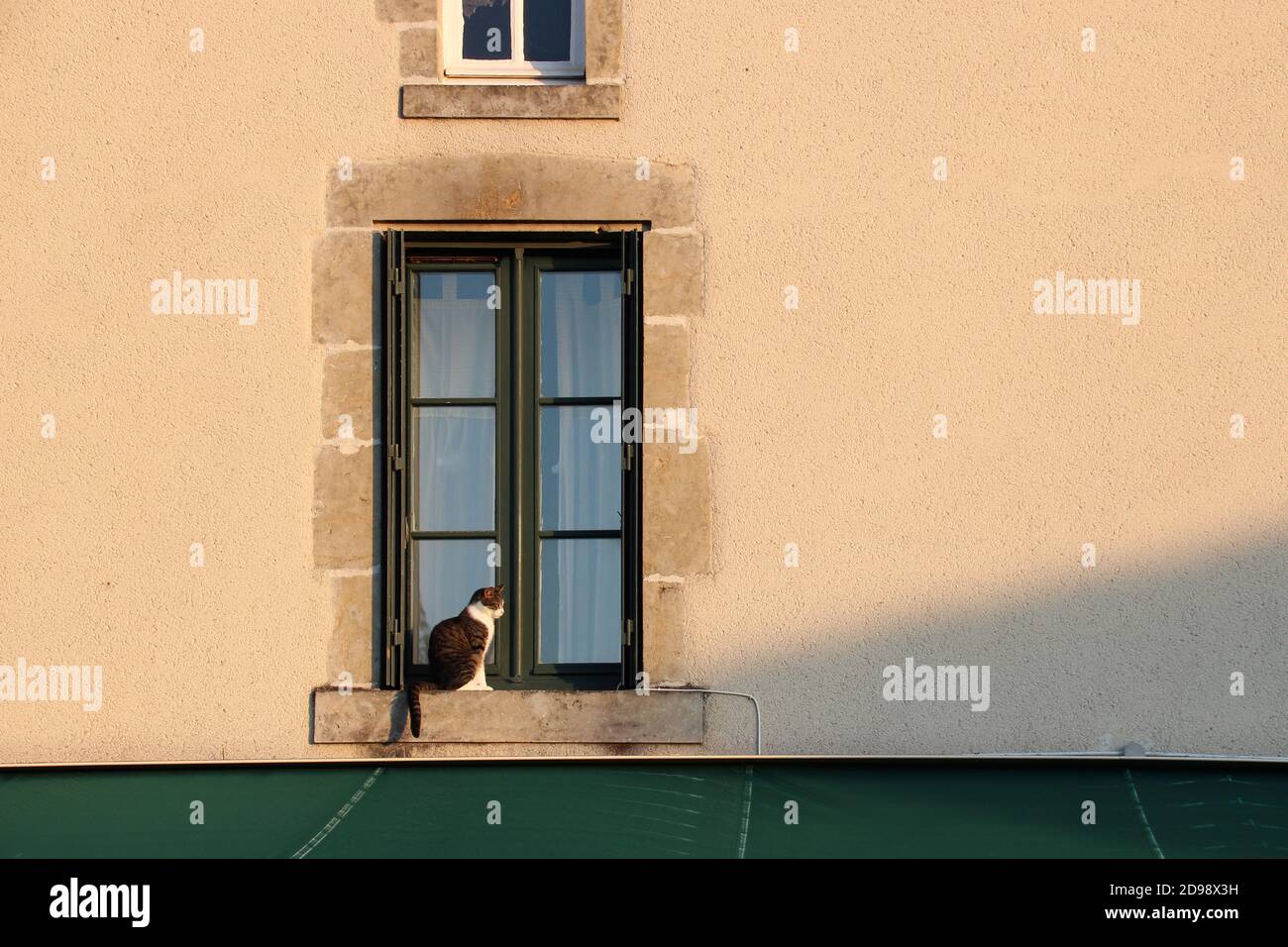 cat at a window in vouvant (france Stock Photo - Alamy