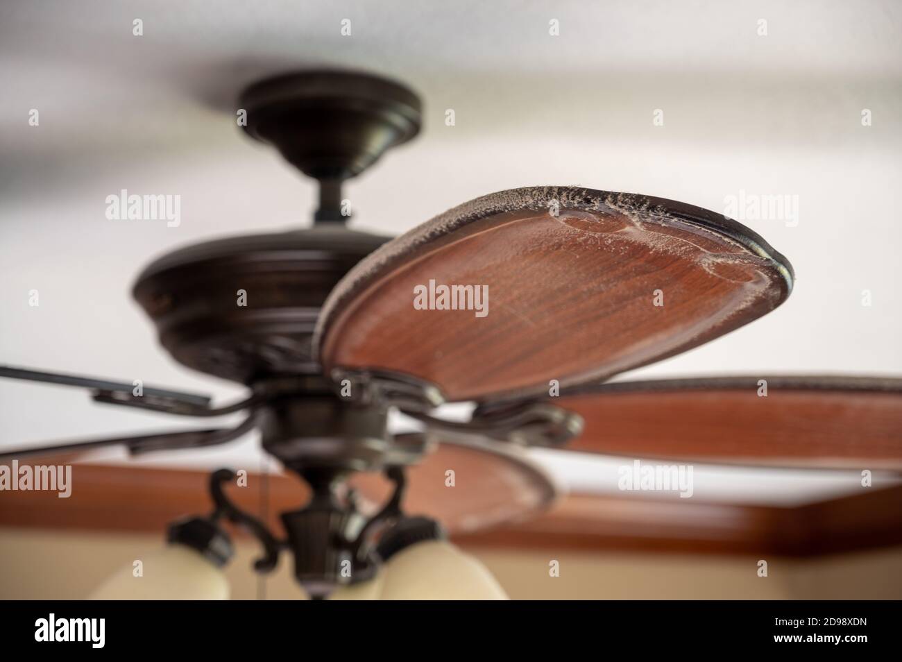 Concept of home cleaning tasks showing buildup of dust on a ceiling fan ...