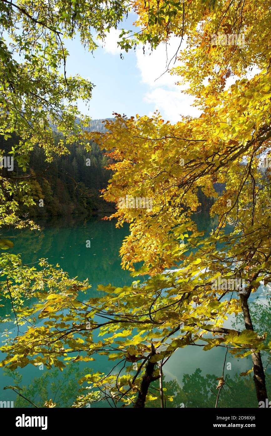 Lago di tovel hi-res stock photography and images - Alamy