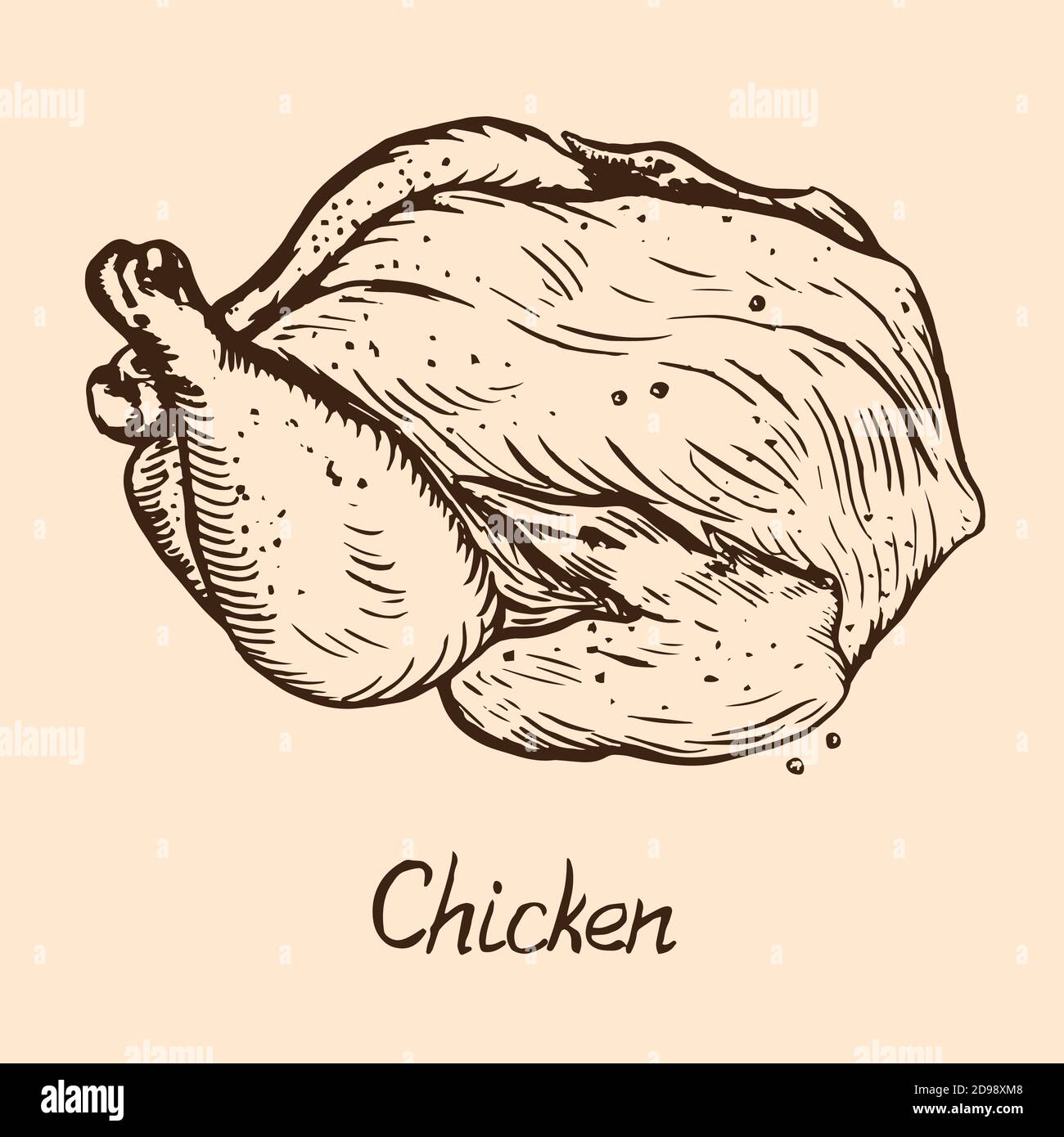 Chicken, hand drawn doodle, simple sketch ink illustration Stock Photo ...