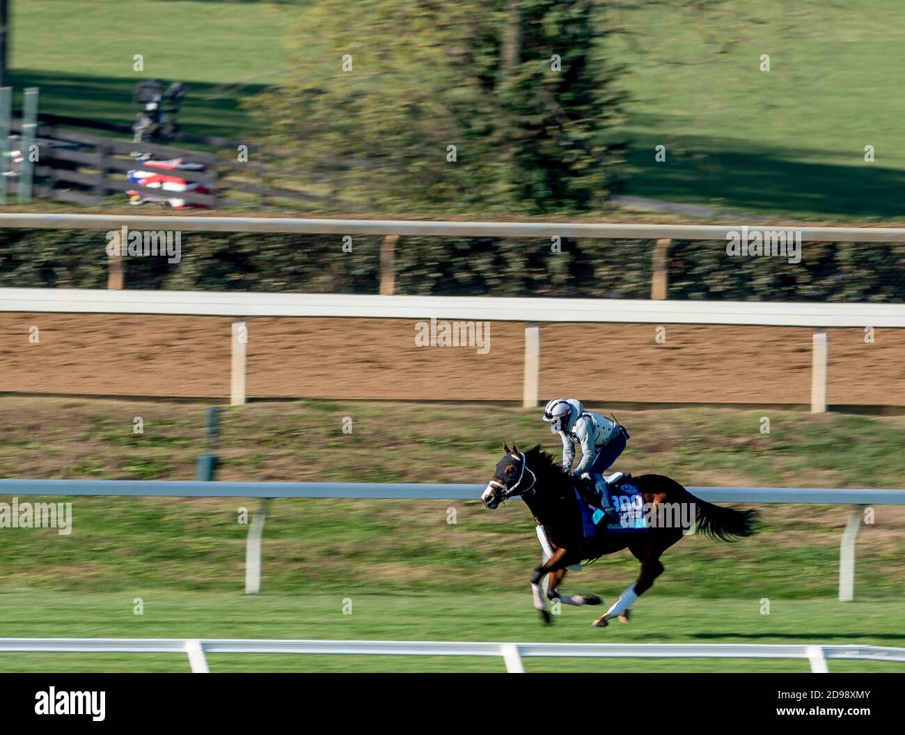 Brad cox horse hi-res stock photography and images - Alamy