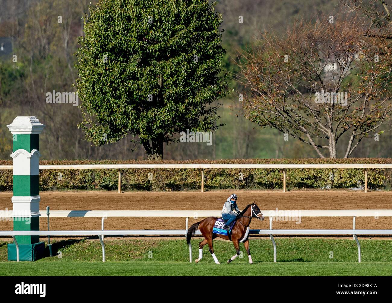 Brad cox horse hi-res stock photography and images - Alamy