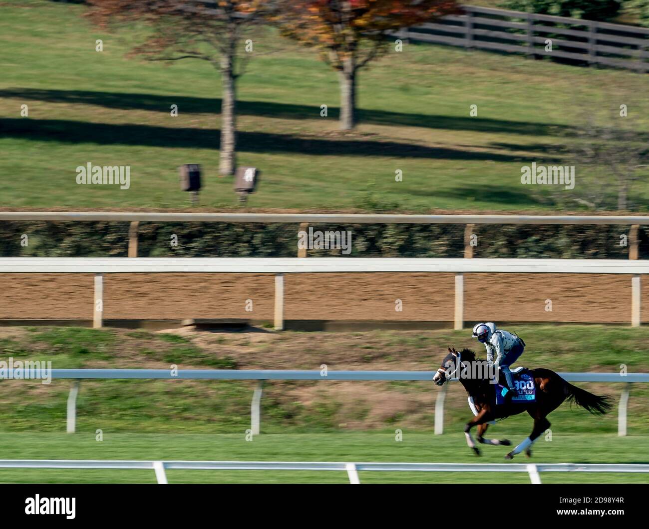 Brad cox horse hi-res stock photography and images - Alamy