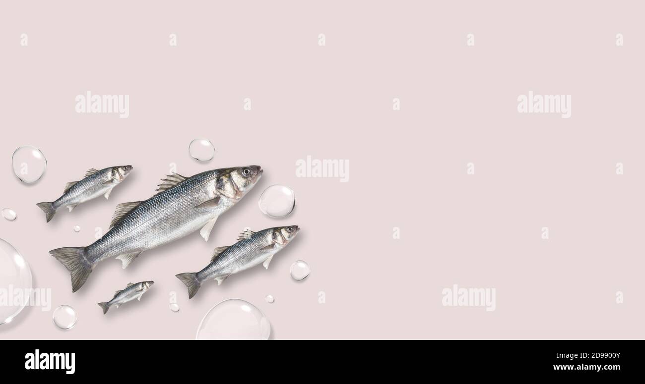 Colorful pattern of fish with bubbles on pastel pink background ...
