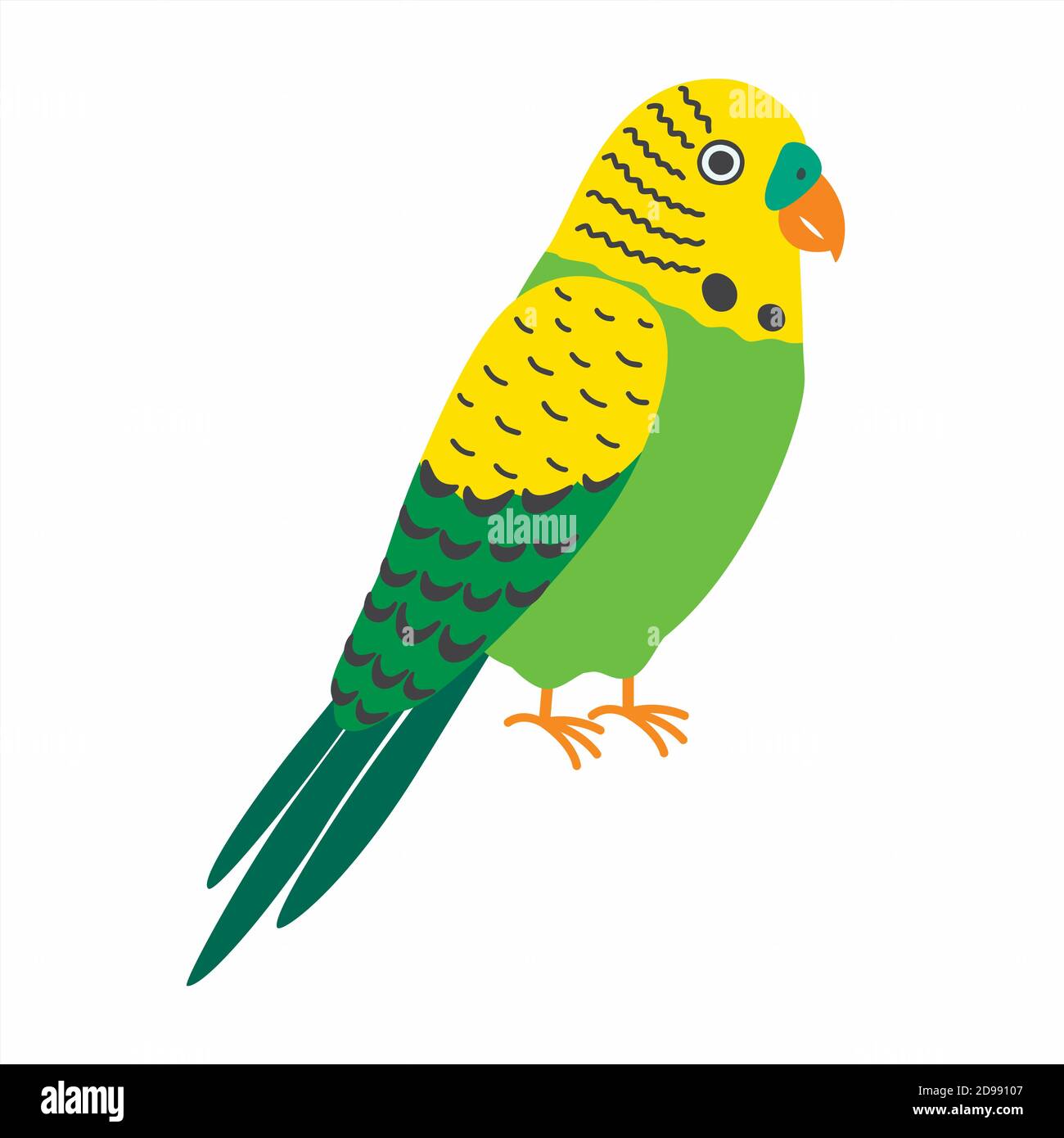 Male budgerigar Stock Vector Images - Alamy