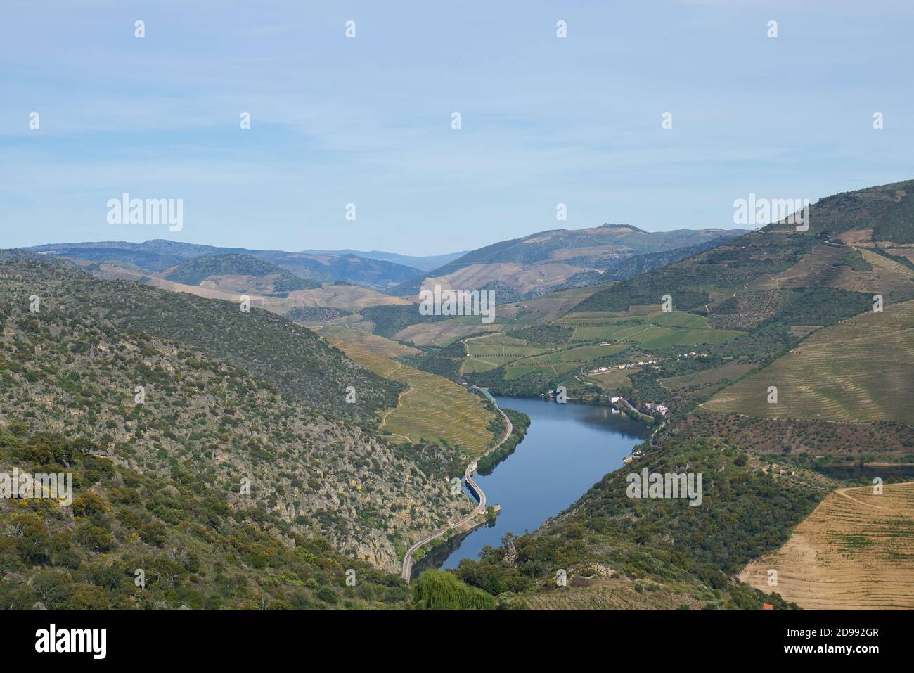 Douro river wine valley region in Portugal Stock Photo - Alamy