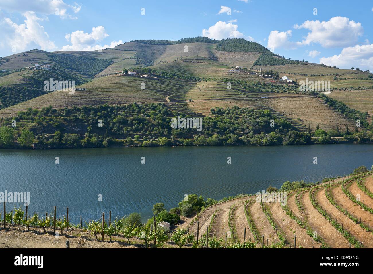 Vineyard in north portugal hi-res stock photography and images - Alamy