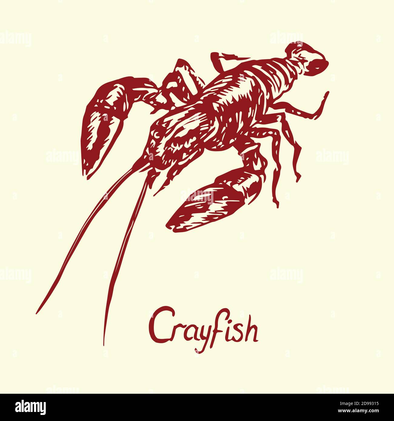 Simple Crawfish Drawing