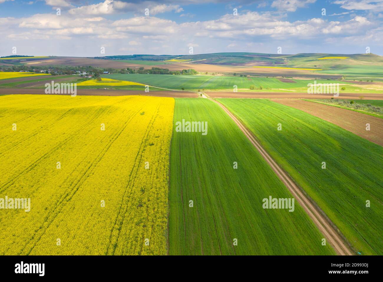 Fresh yellow and green fields viewed from above during spring near farm ...