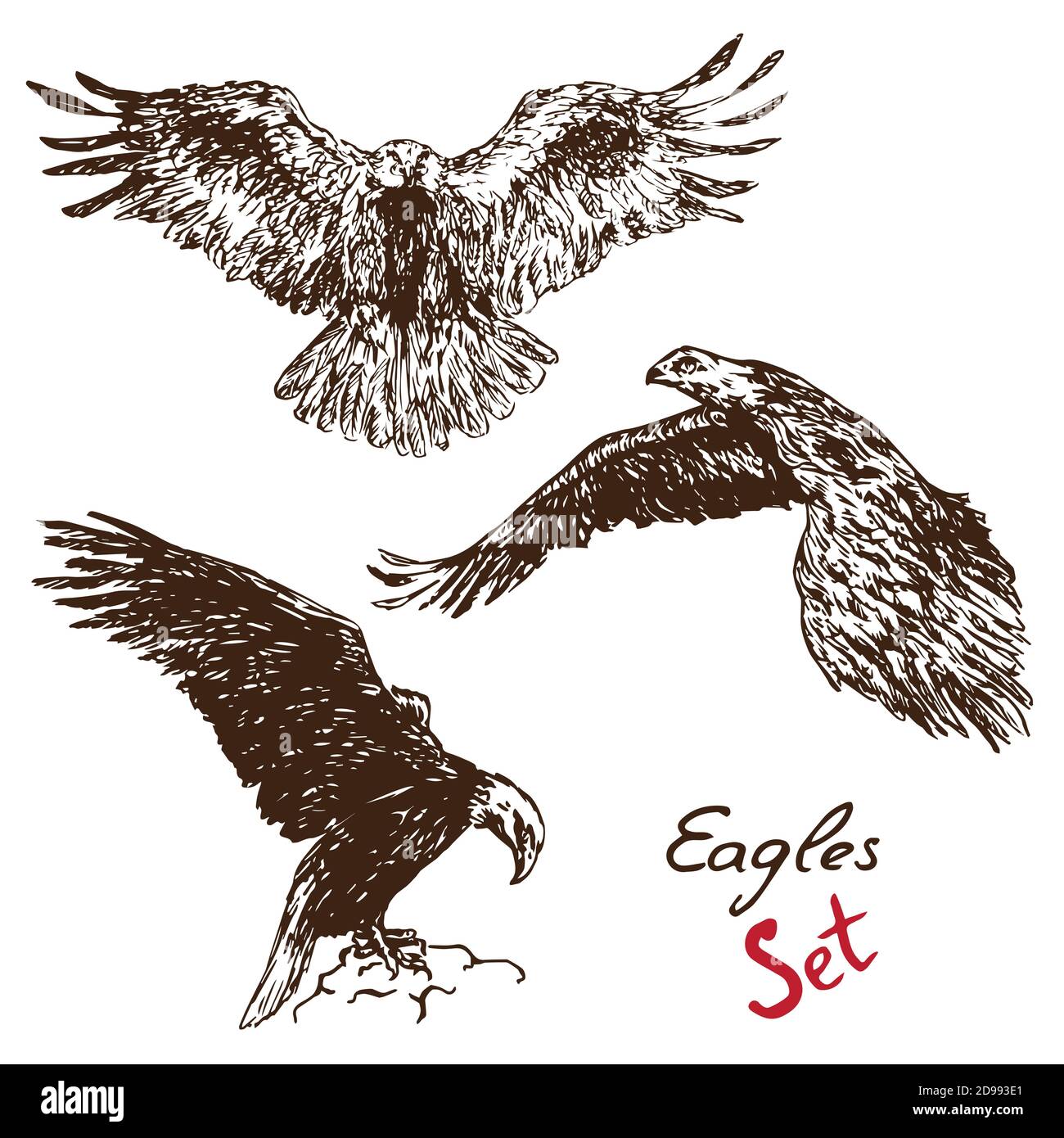 Simple Eagle Drawing