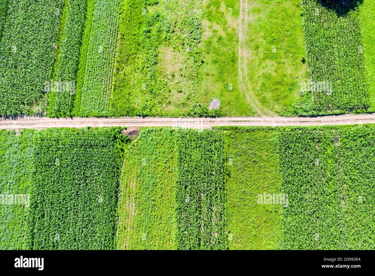 Side by side green fields viewed from above and crossing road Stock ...