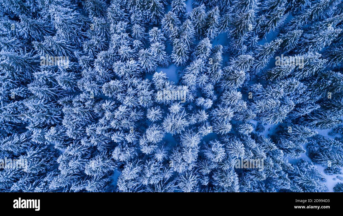 Beautiful romania view ciucas hi-res stock photography and images - Alamy