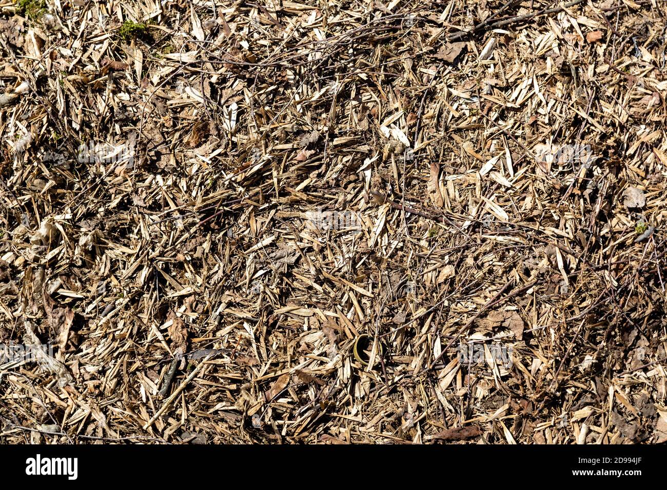 Seman hi-res stock photography and images - Alamy