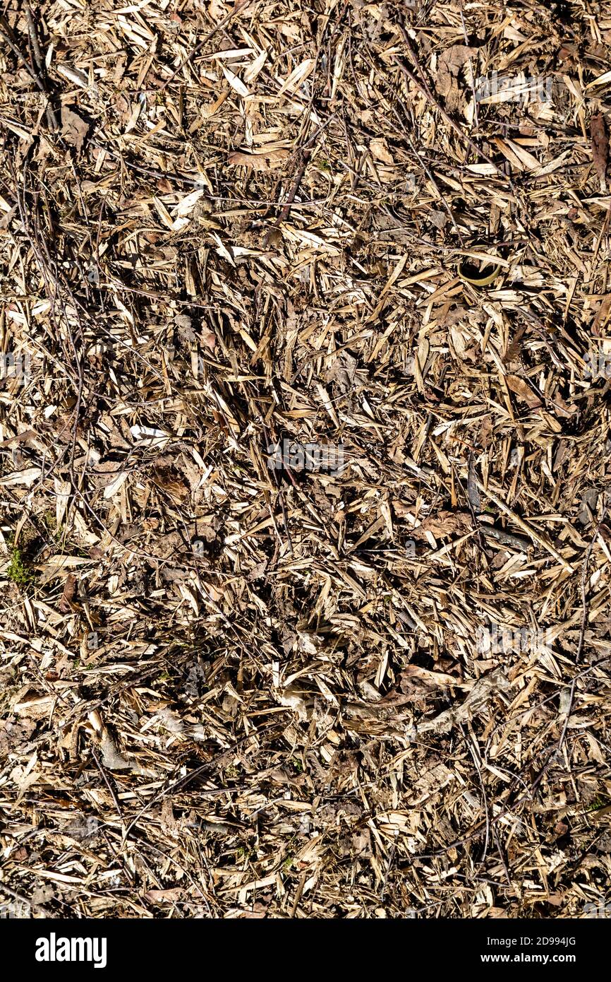 Seman hi-res stock photography and images - Alamy