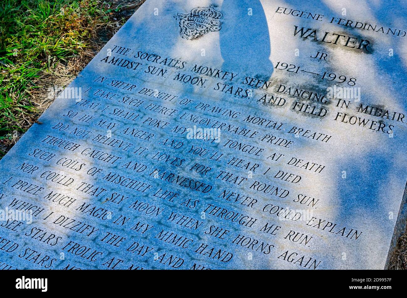 Socrates monkey hi-res stock photography and images - Alamy