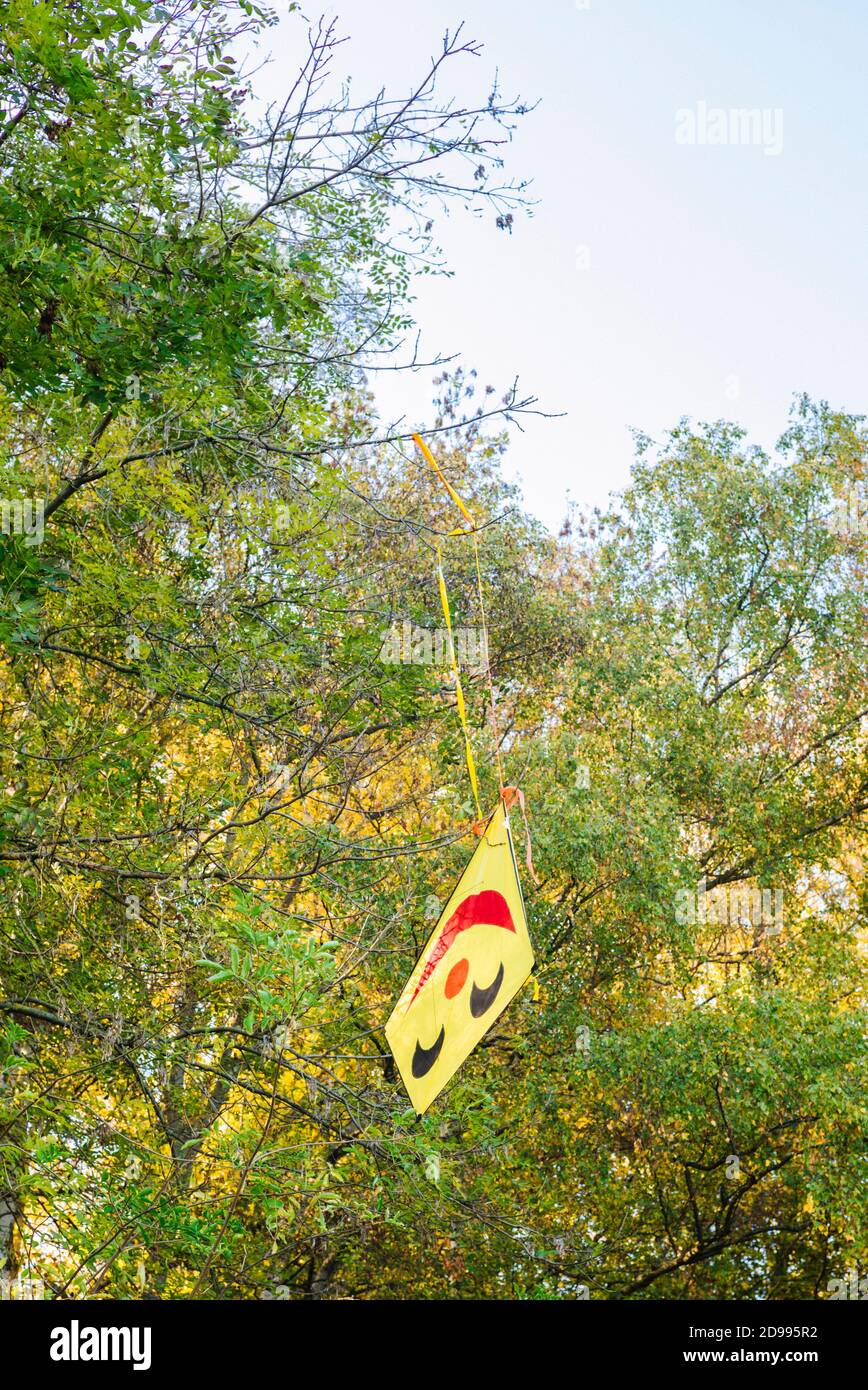 Kite stuck in tree hi-res stock photography and images - Alamy