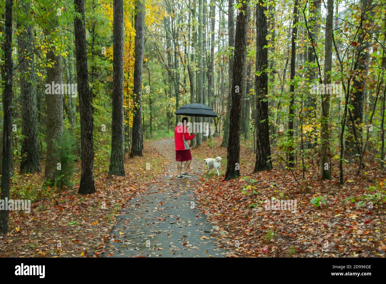 Man with umbrella and dog hi-res stock photography and images - Alamy