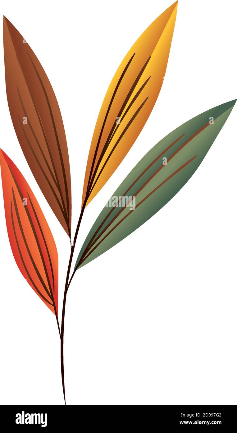 autumn leaf icon vector design Stock Vector Image & Art - Alamy