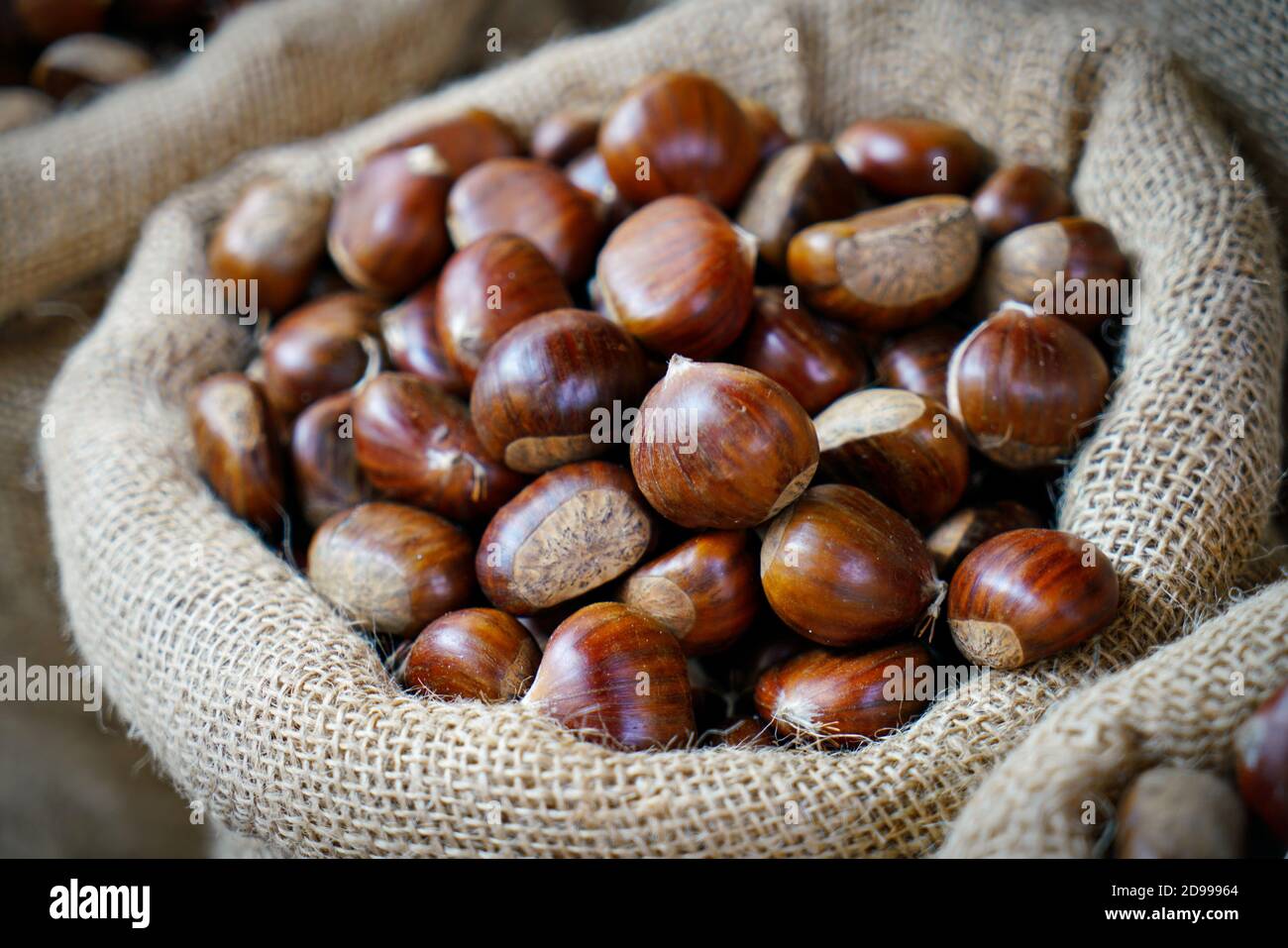 Top view heap of chestnuts. Pile of ripe chestnuts for food background ...