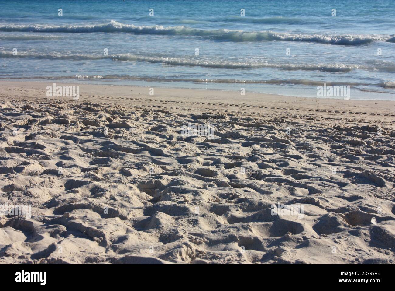 beach of the tuscan sea at sunset the white sand of rosignano in ...