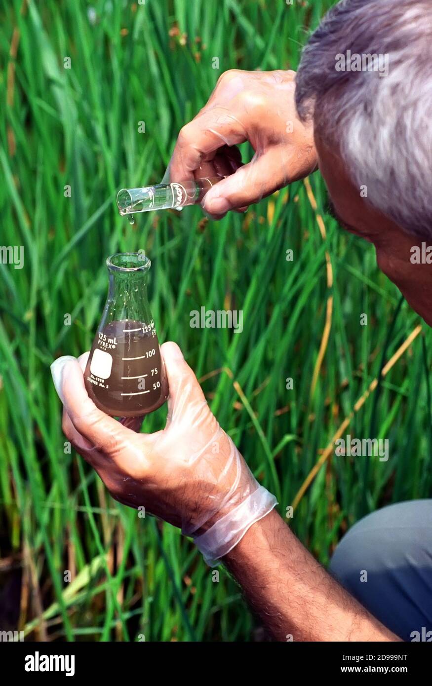 Muddy water from a pond is collected and tested how safe the water is ...