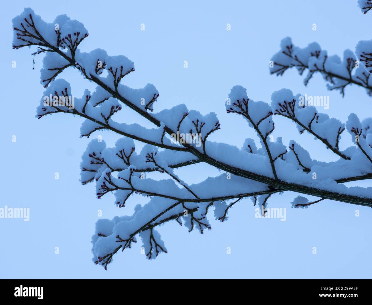 Longford england hi-res stock photography and images - Alamy
