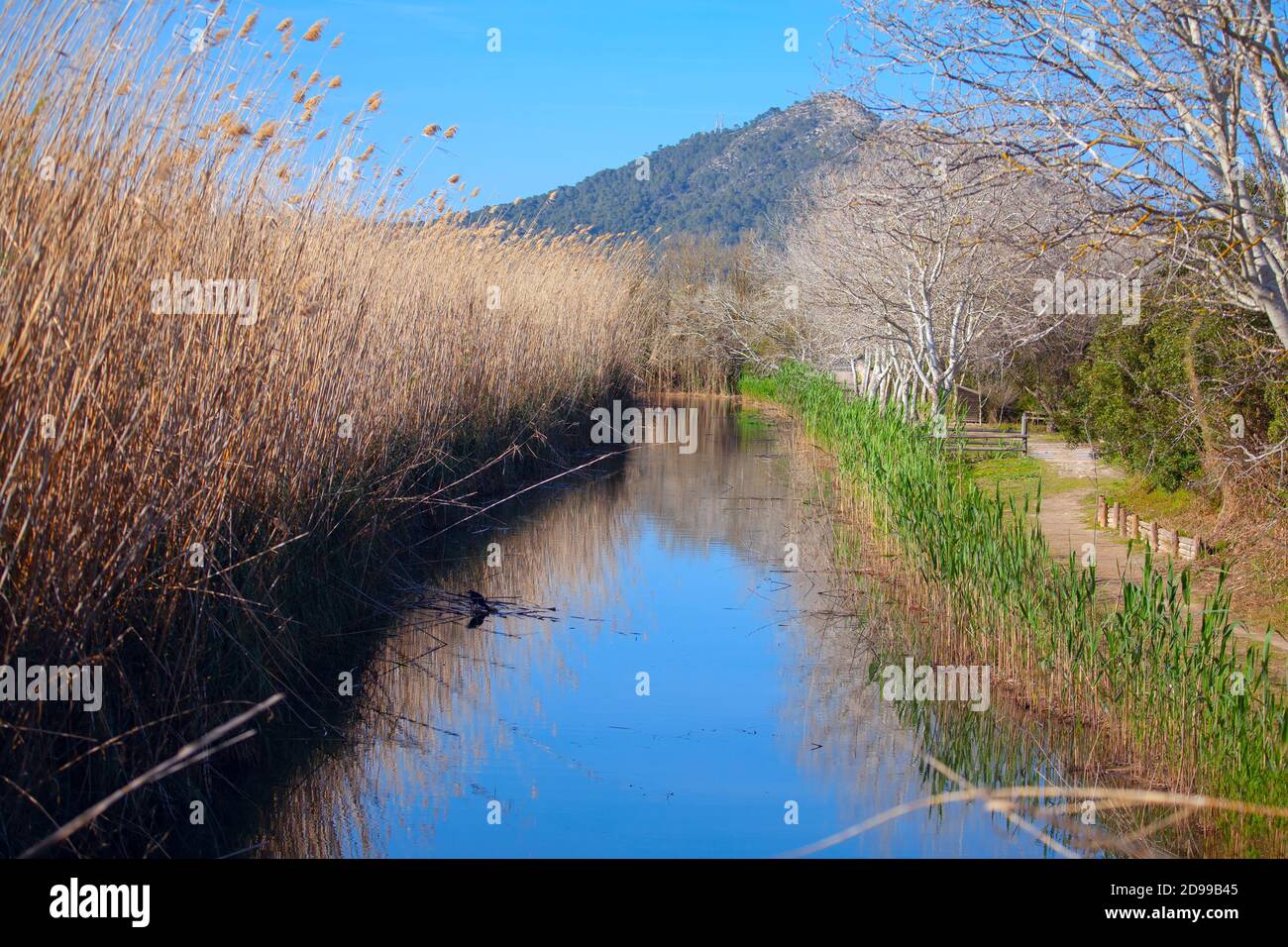 Parc Natural De S'Albufera de Mallorca . Natural park with water canal ...