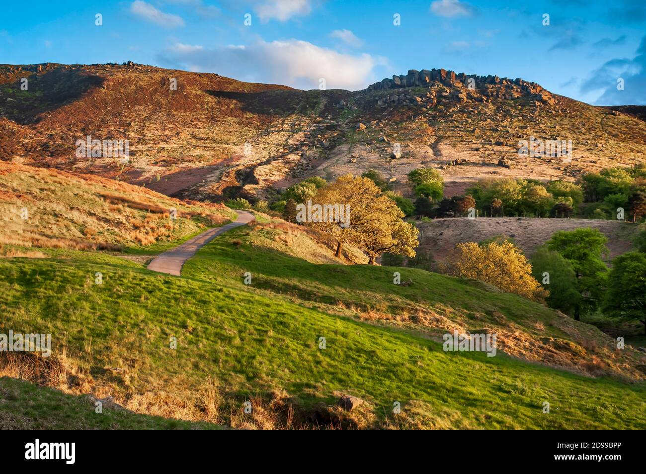 Beautiful sunset scene, with trees and hillside illuminated by the low ...