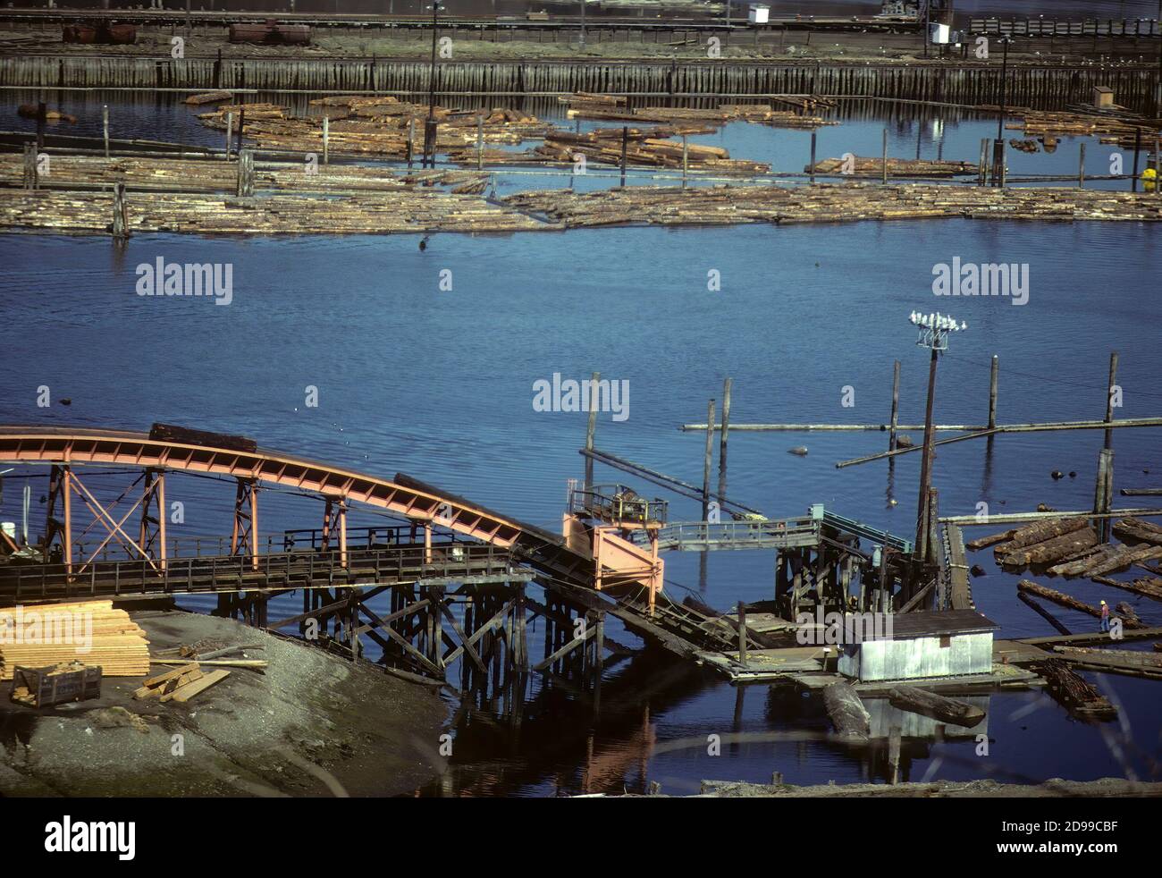 Logging pond hi-res stock photography and images - Alamy
