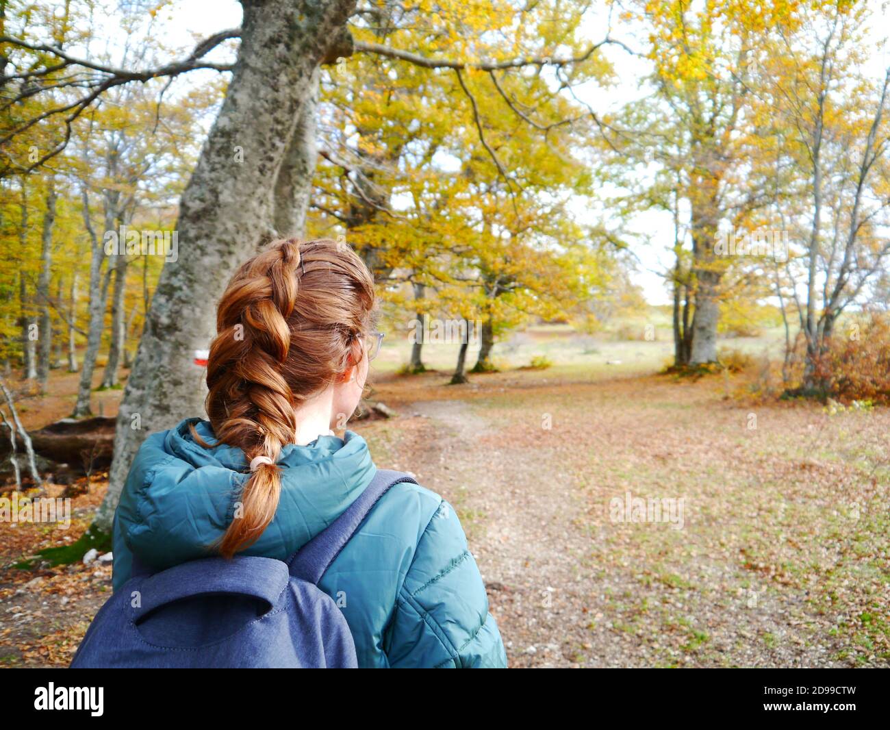 Folia hi-res stock photography and images - Alamy